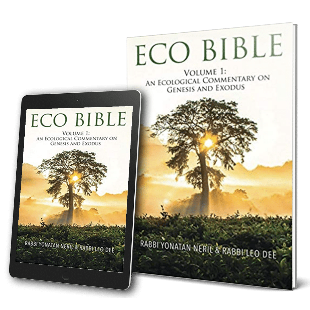 ECO BIBLE – CHAPTER 1 DOWNLOAD | The Interfaith Center for Sustainable ...