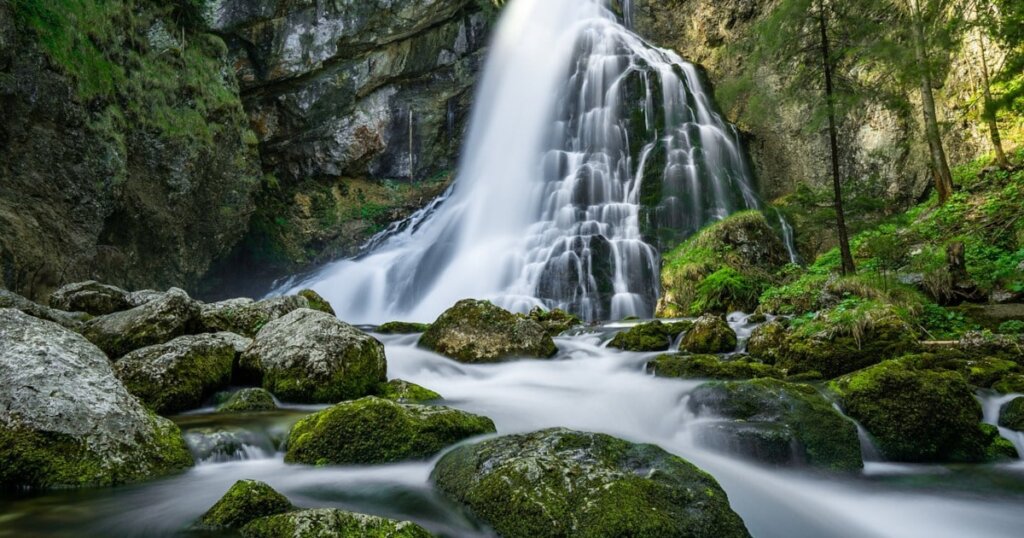A Blessed Ecosystem of Faith: Psalm 1, Jeremiah 17:5-10, Luke 6:17-26 ...