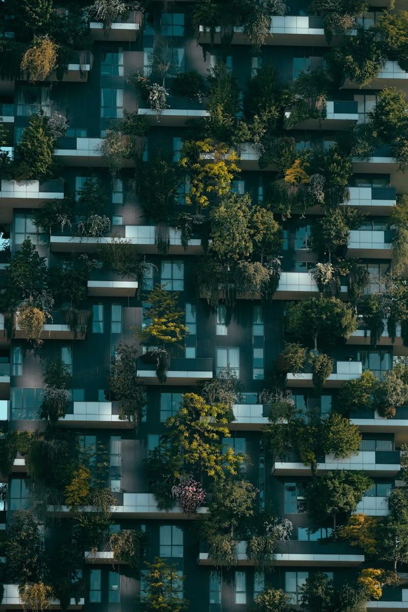 What does Green Architecture mean? | Environmental Glossary